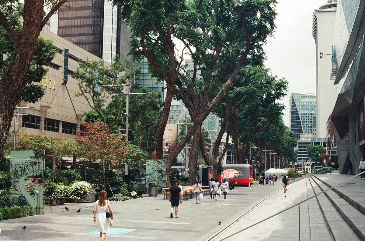 The Ultimate Orchard Road Dining Starter Pack for Foreign Travelers